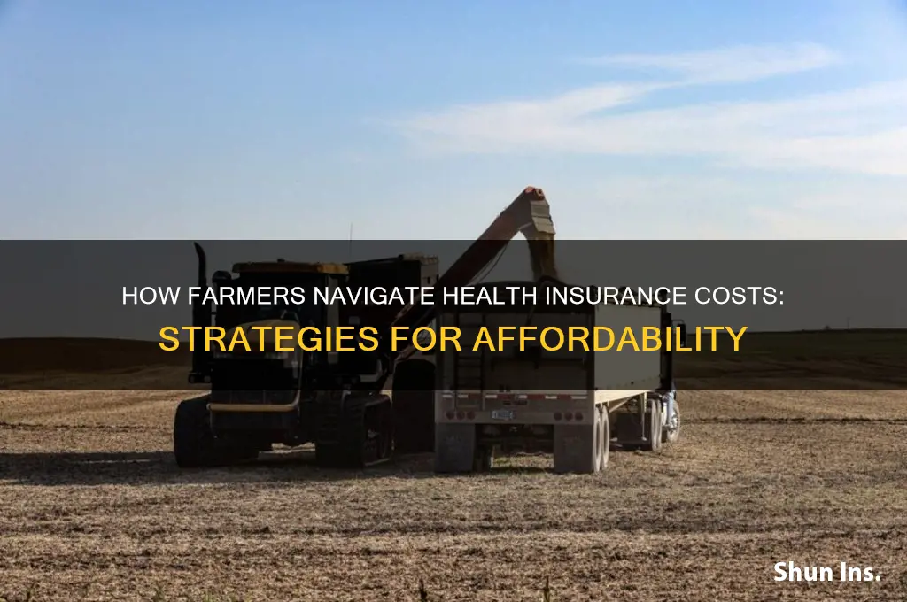 How Farmers Navigate Health Insurance Costs: Strategies For ...