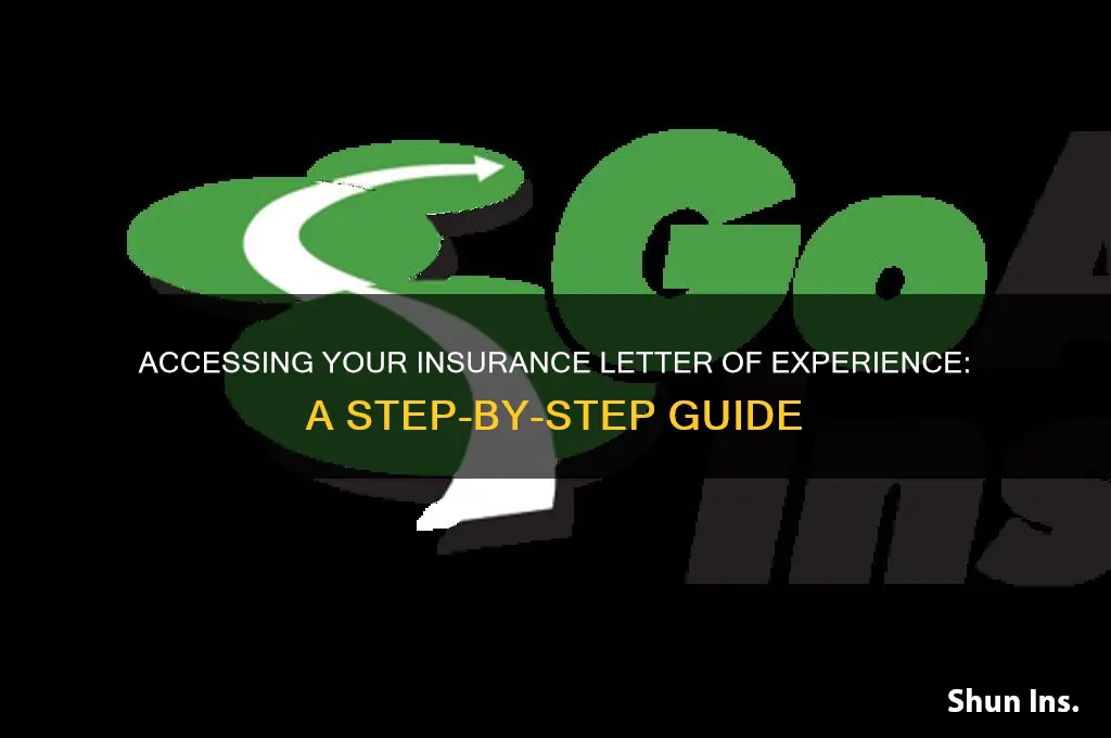 Accessing Your Insurance Letter Of Experience: A Step-By-Step Guide ...