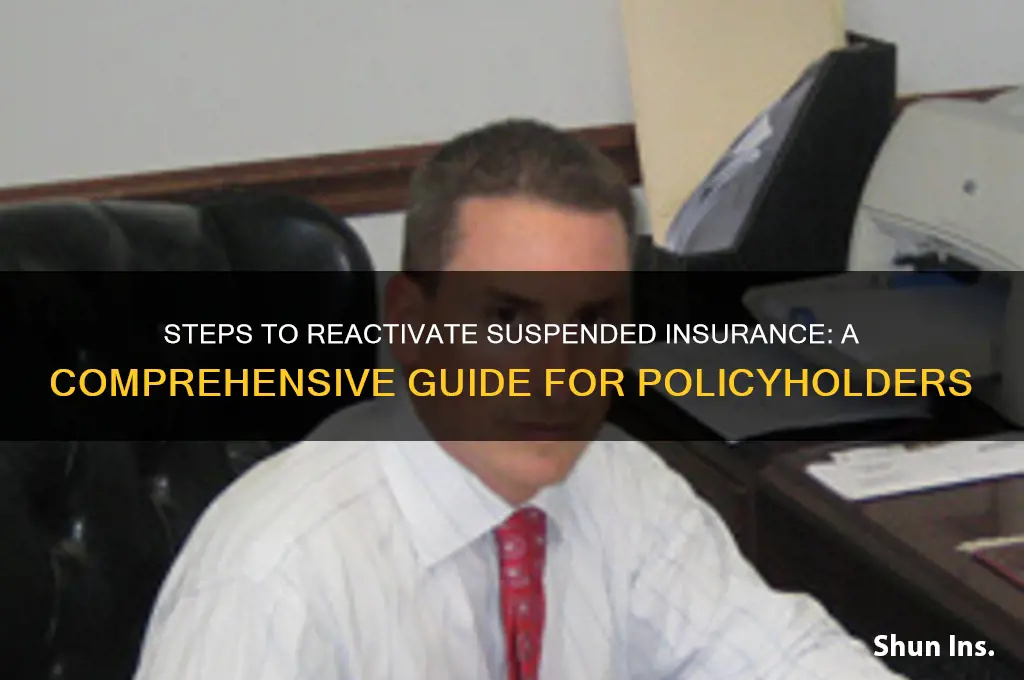 Steps To Reactivate Suspended Insurance: A Comprehensive Guide For ...