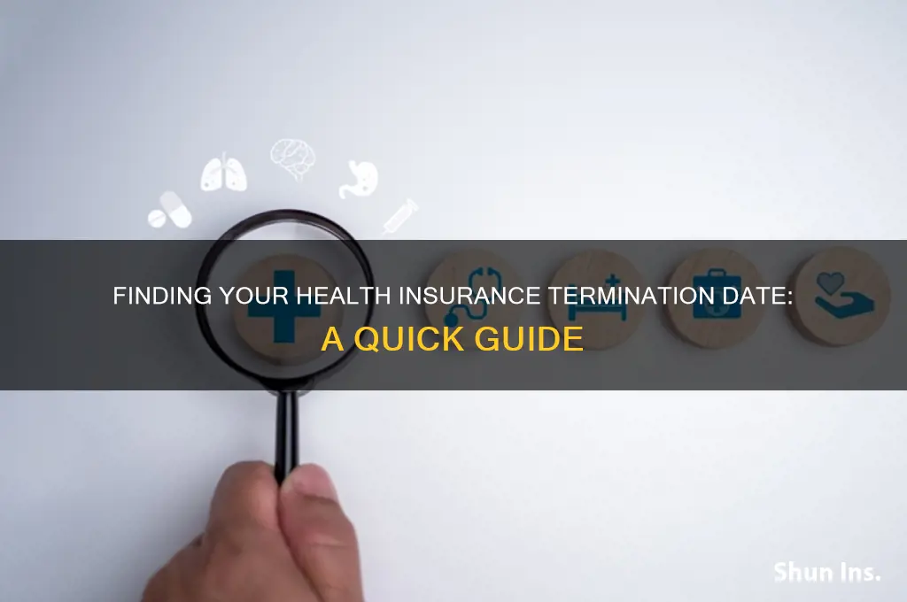 Finding Your Health Insurance Termination Date: A Quick Guide | ShunIns