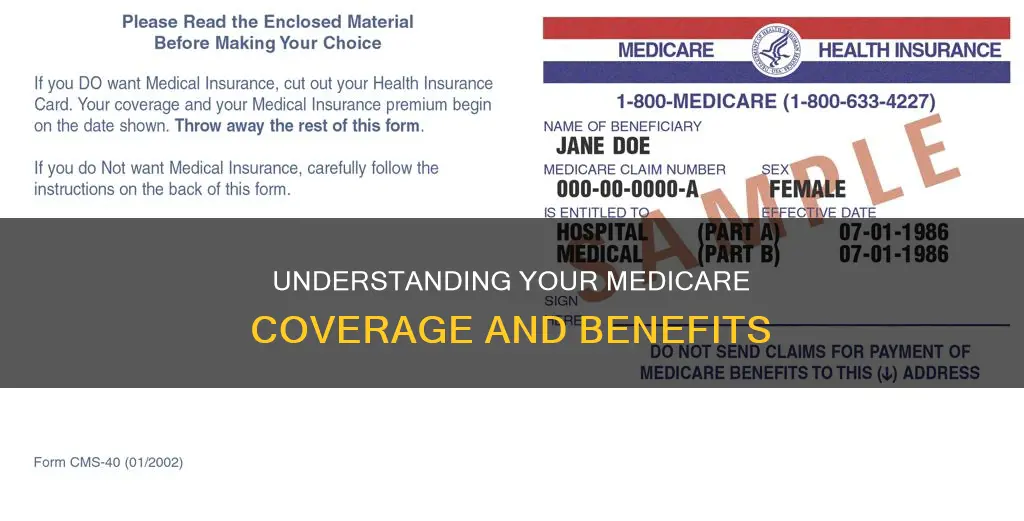 Understanding Your Medicare Coverage And Benefits | ShunIns