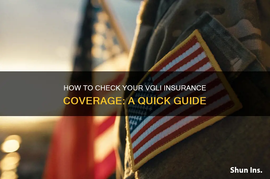 How To Check Your Vgli Insurance Coverage: A Quick Guide | ShunIns