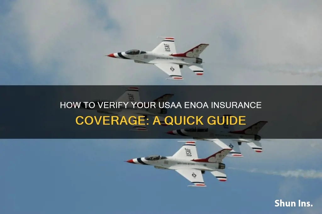 How To Verify Your Usaa Enoa Insurance Coverage: A Quick Guide | ShunIns