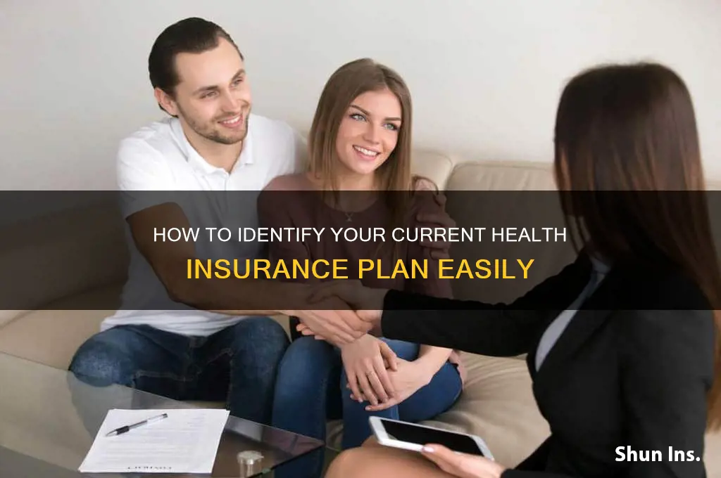How To Identify Your Current Health Insurance Plan Easily | ShunIns