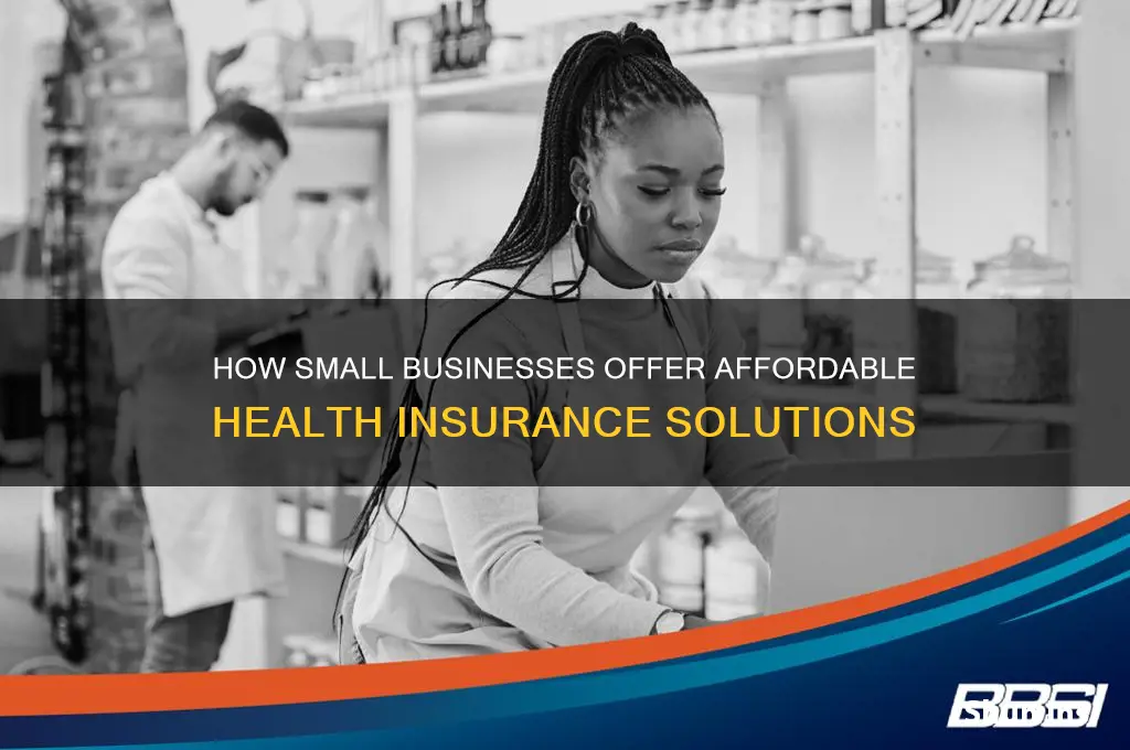 How Small Businesses Offer Affordable Health Insurance Solutions | ShunIns