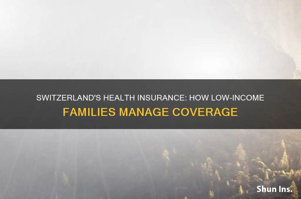 Switzerland's Health Insurance: How Low-Income Families Manage Coverage ...