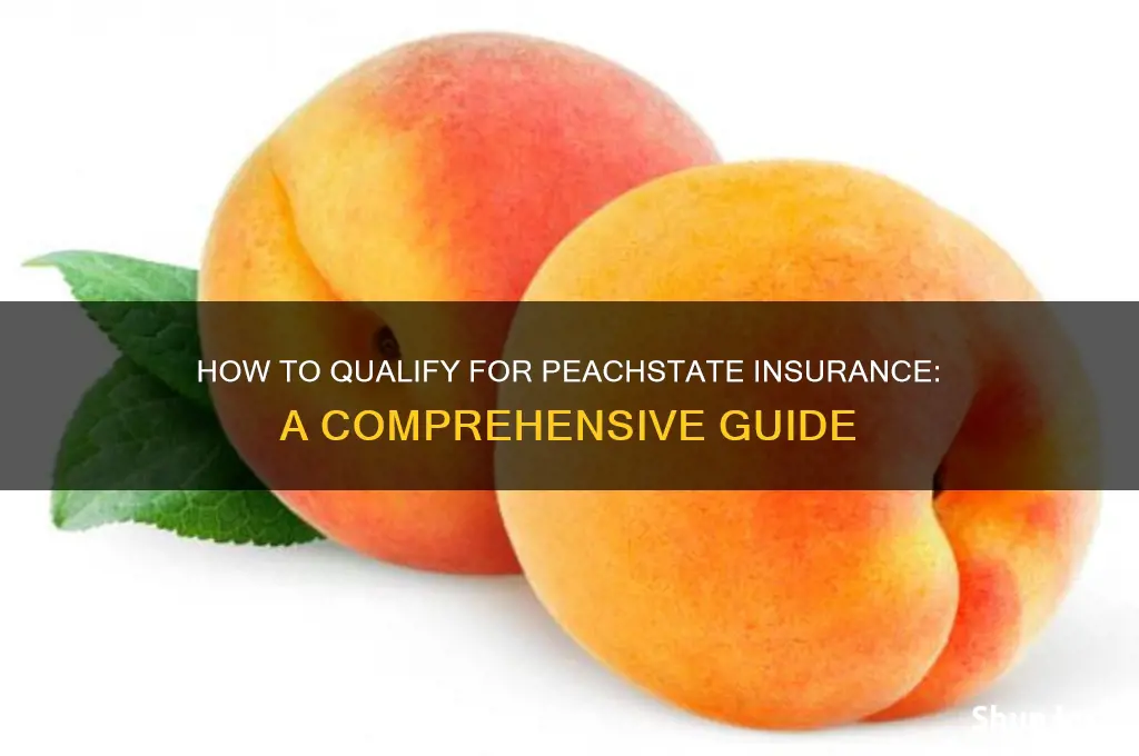 How To Qualify For Peachstate Insurance: A Comprehensive Guide | ShunIns