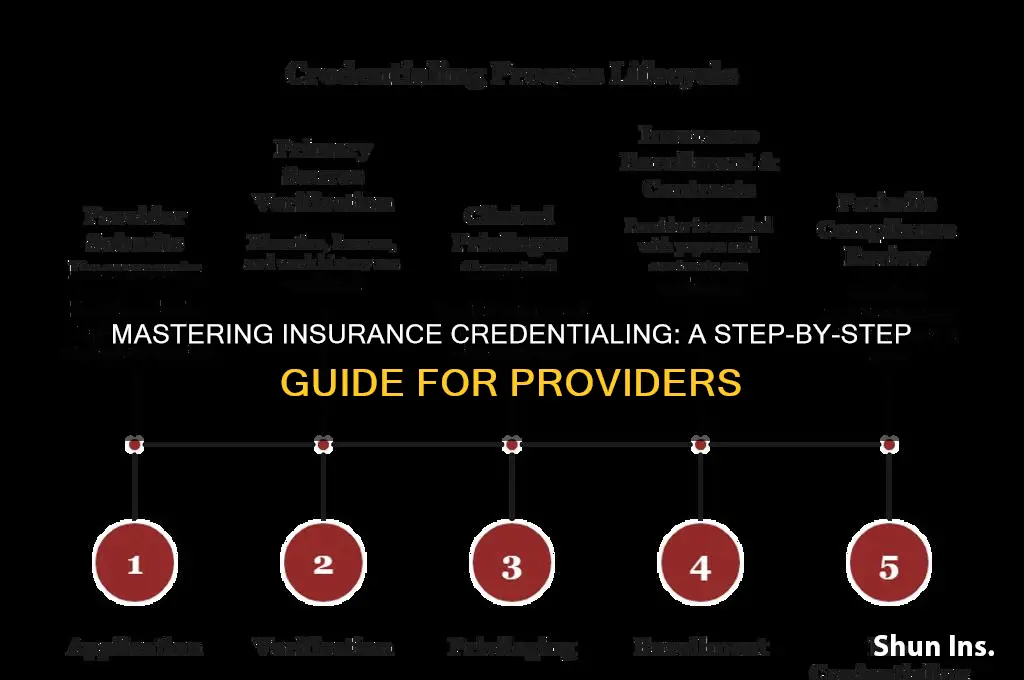 Mastering Insurance Credentialing: A Step-By-Step Guide For Providers ...