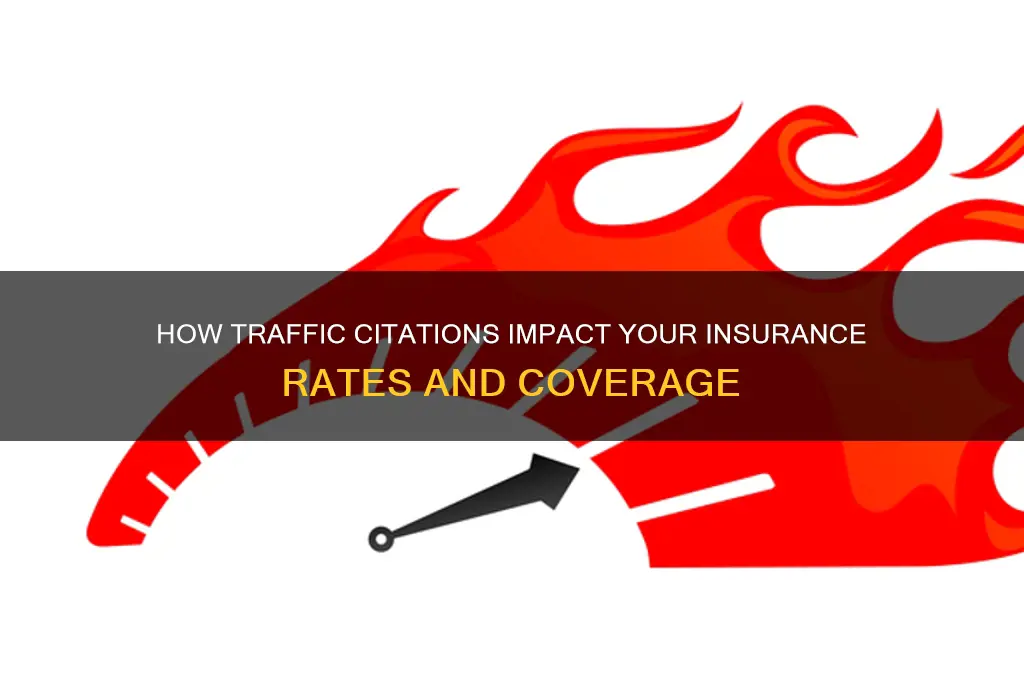 How Traffic Citations Impact Your Insurance Rates And Coverage | ShunIns