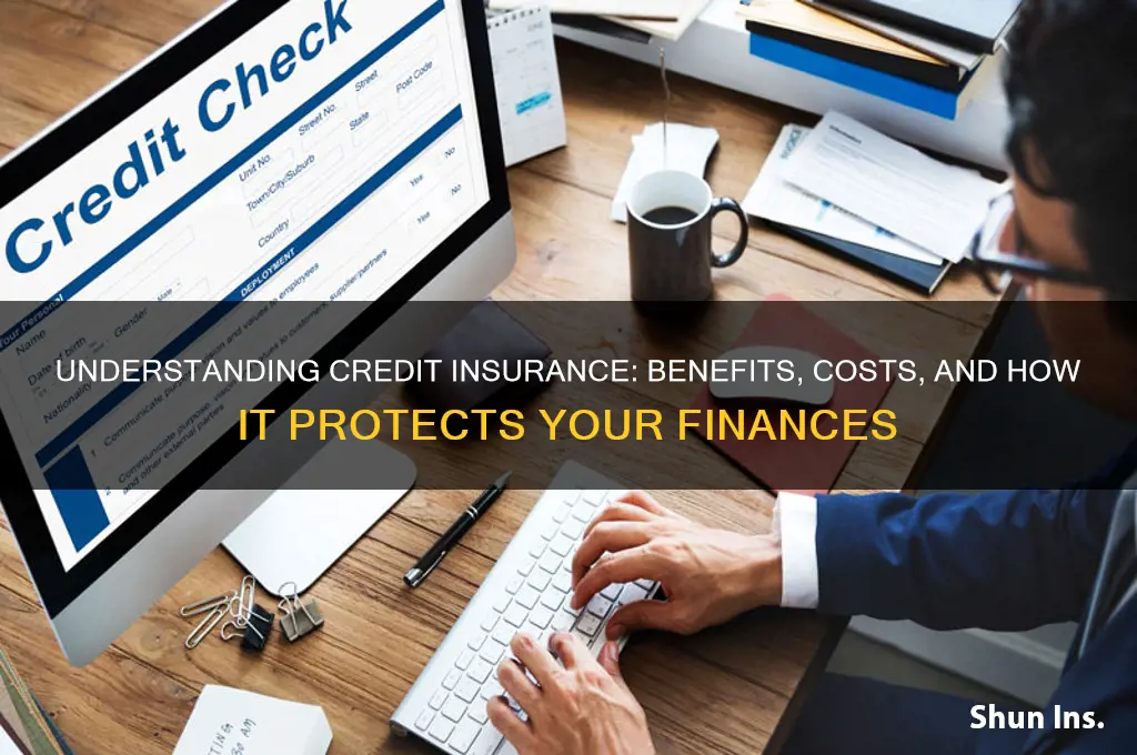 Understanding Credit Insurance: Benefits, Costs, And How It Protects ...