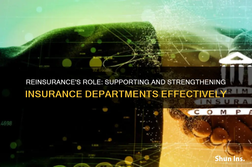 Reinsurance's Role: Supporting And Strengthening Insurance Departments ...