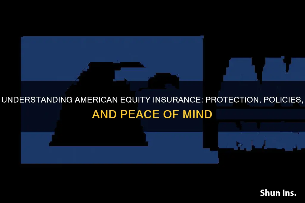Understanding American Equity Insurance: Protection, Policies, And ...