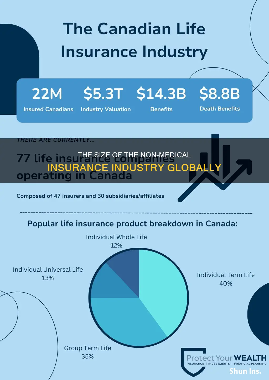 The Size Of The Non-Medical Insurance Industry Globally | ShunIns