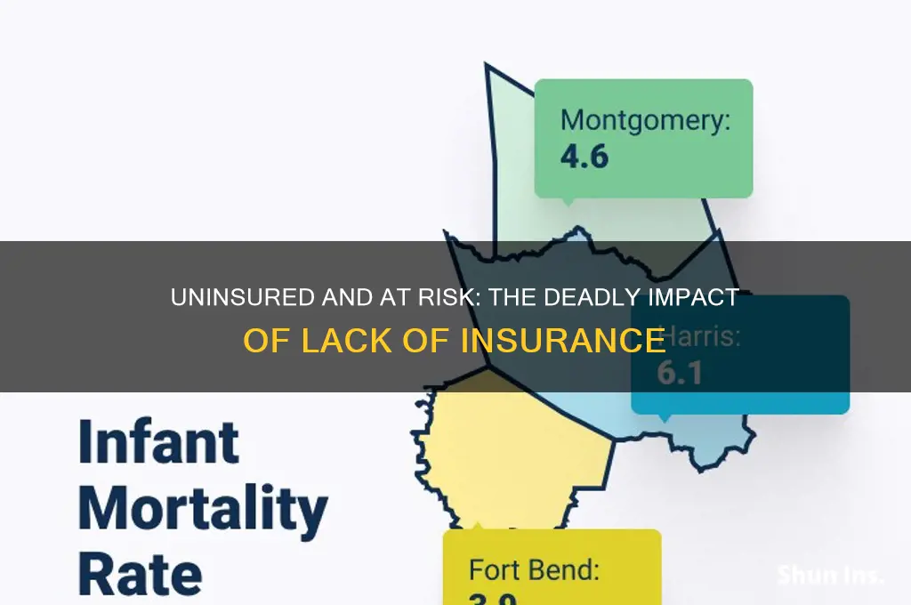 Uninsured And At Risk: The Deadly Impact Of Lack Of Insurance | ShunIns