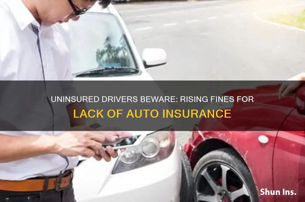 Uninsured Drivers Beware: Rising Fines For Lack Of Auto Insurance | ShunIns