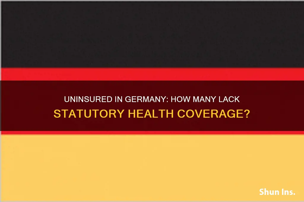 Uninsured In Germany: How Many Lack Statutory Health Coverage? | ShunIns