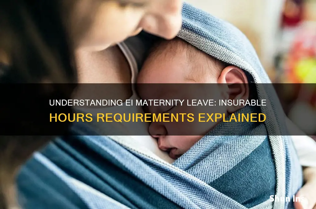 Understanding Ei Maternity Leave: Insurable Hours Requirements ...