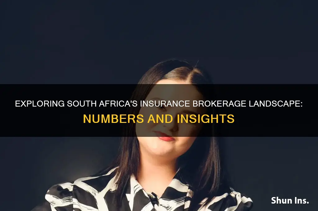 Exploring South Africa's Insurance Brokerage Landscape: Numbers And ...