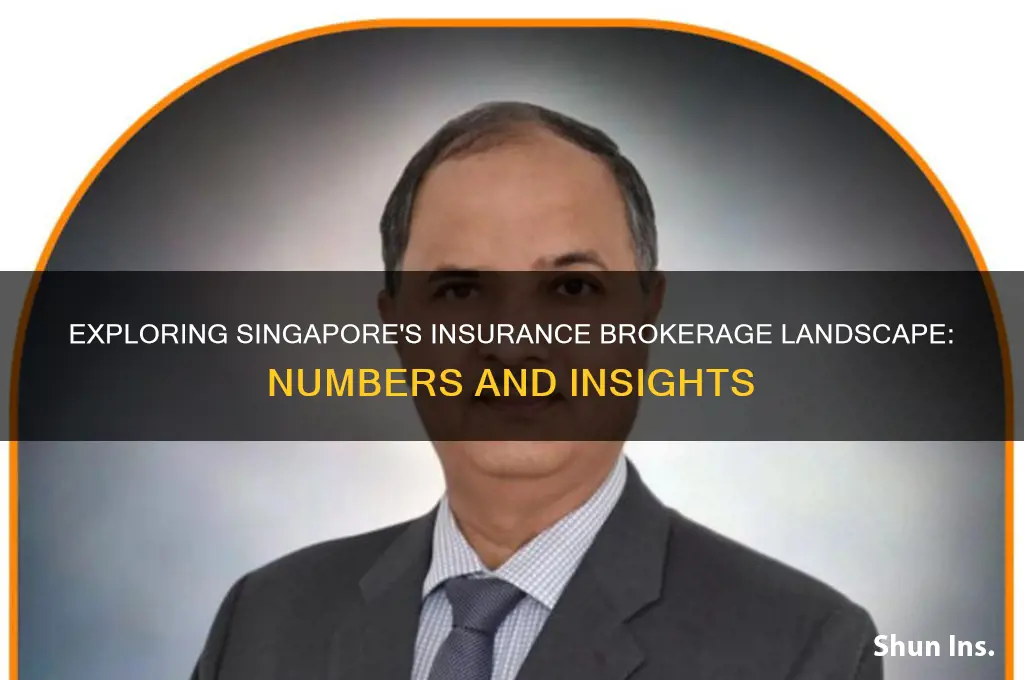 Exploring Singapore's Insurance Brokerage Landscape: Numbers And ...