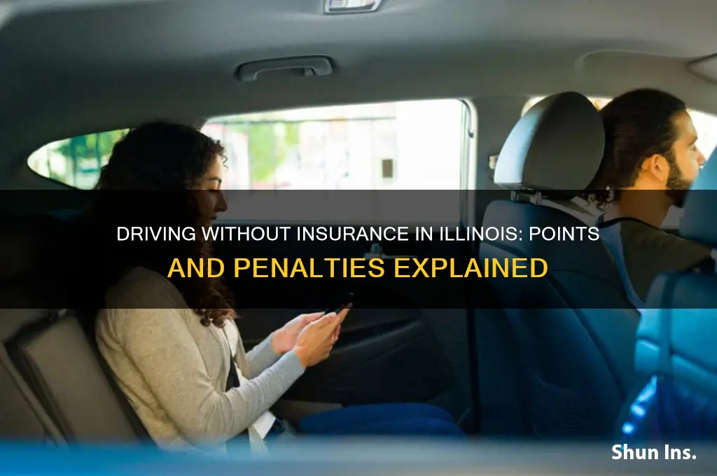 Driving Without Insurance In Illinois: Points And Penalties Explained ...