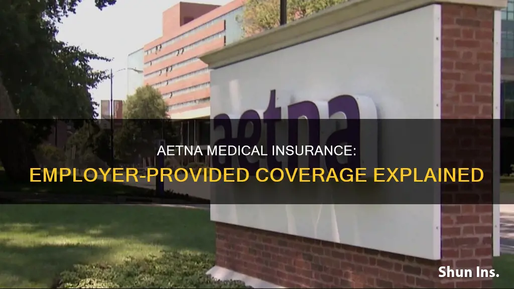 Aetna Medical Insurance: Employer-Provided Coverage Explained | ShunIns