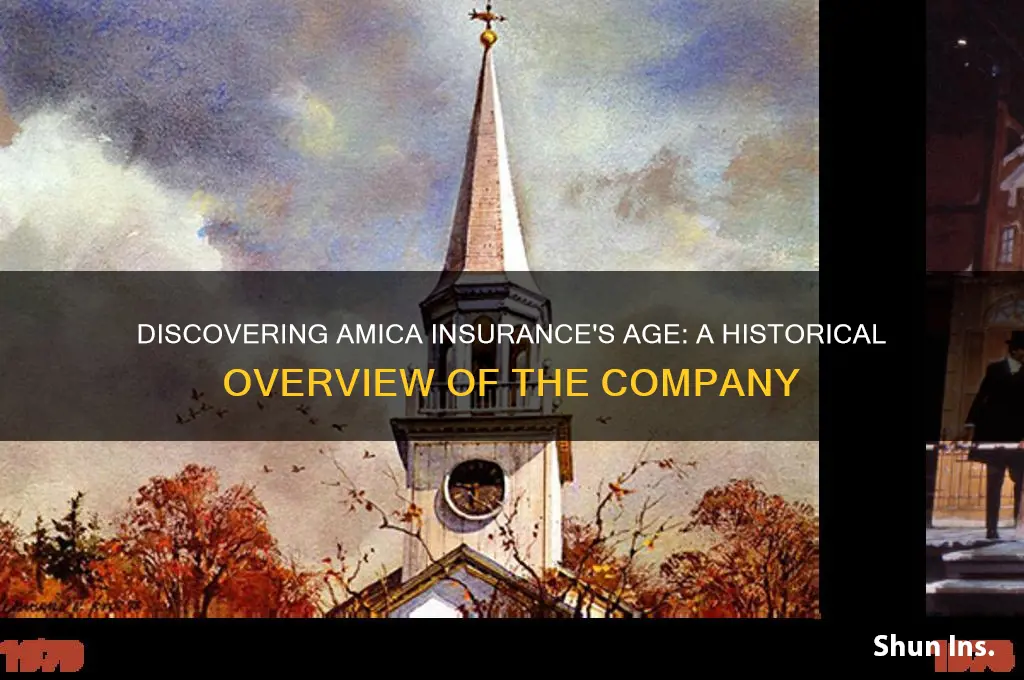 Discovering Amica Insurance's Age: A Historical Overview Of The Company ...