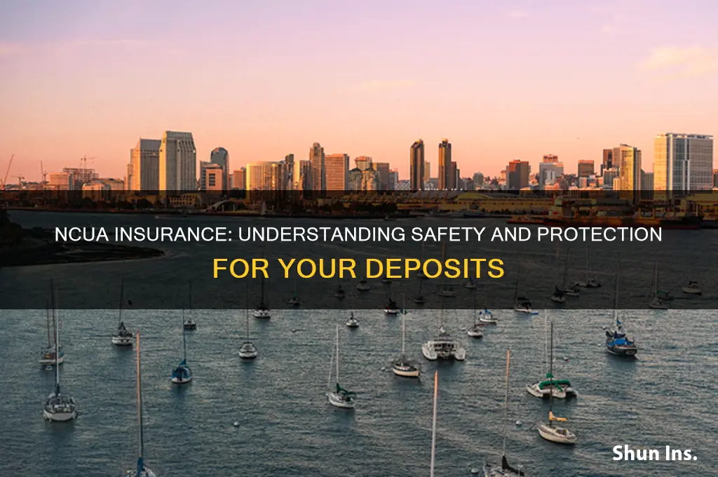Ncua Insurance: Understanding Safety And Protection For Your Deposits ...