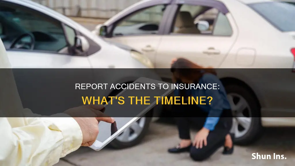 Report Accidents To Insurance: What's The Timeline? | ShunIns