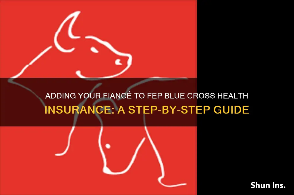 Adding Your Fiancé To Fep Blue Cross Health Insurance: A Step-By-Step ...