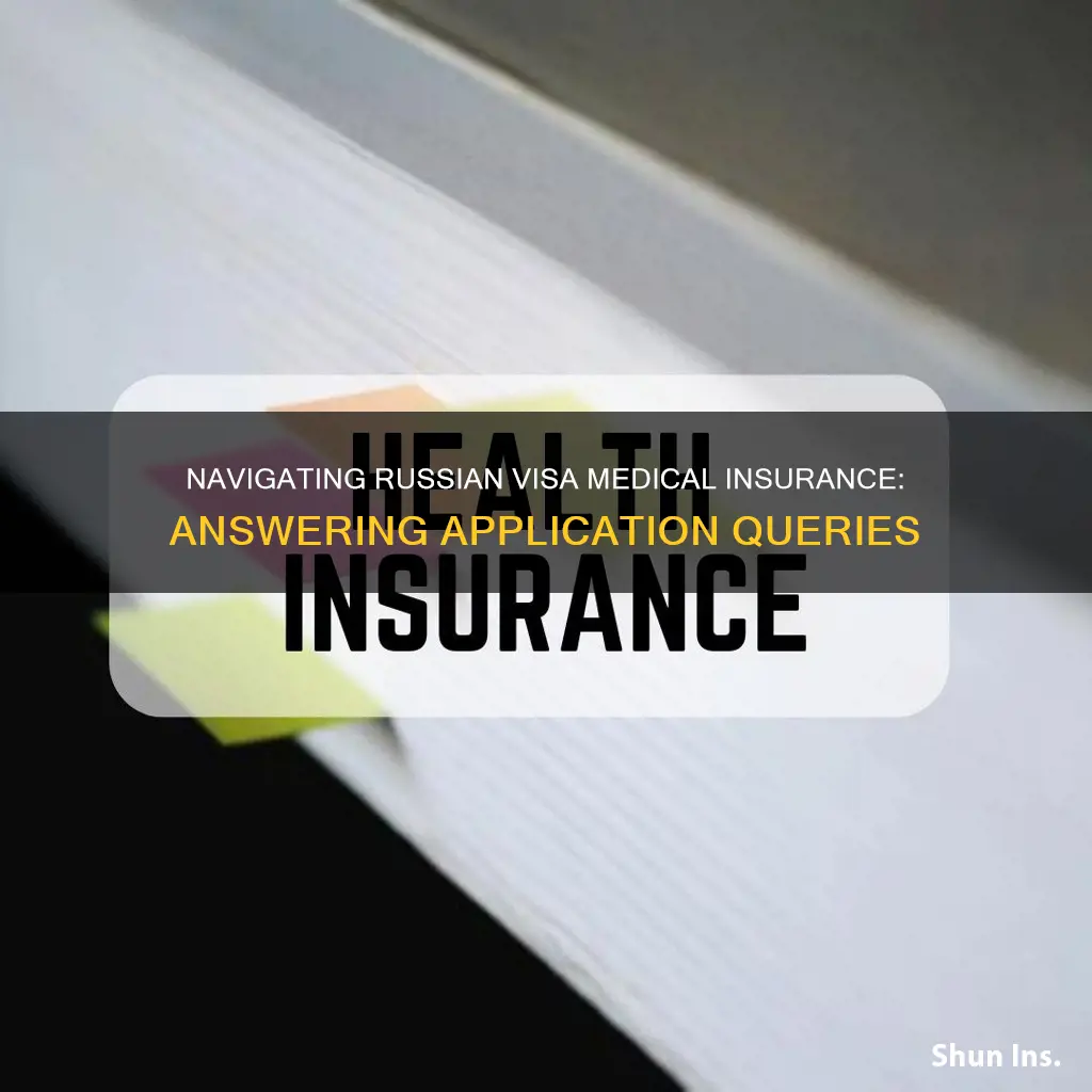 Navigating Russian Visa Medical Insurance: Answering Application ...