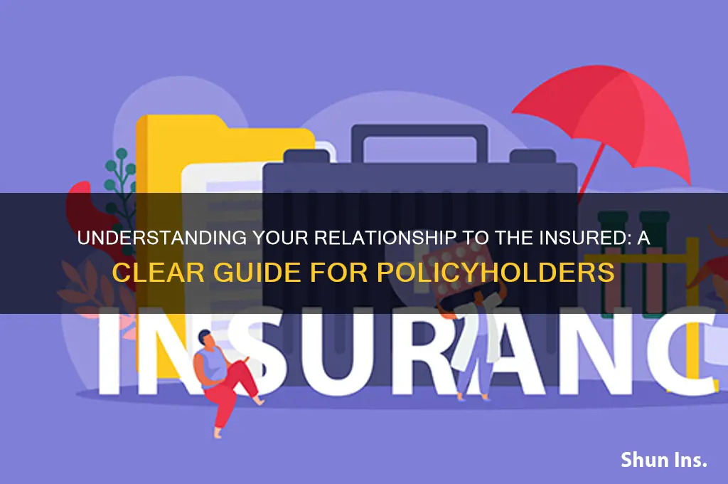 Understanding Your Relationship To The Insured: A Clear Guide For ...