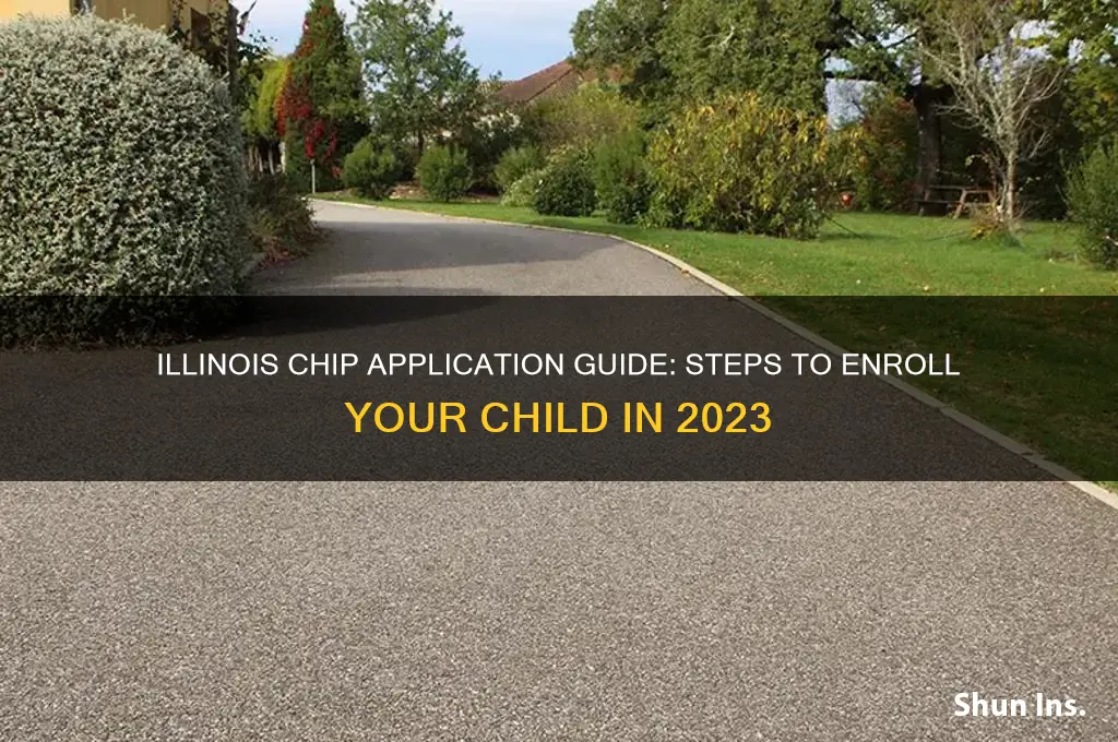 Illinois Chip Application Guide: Steps To Enroll Your Child In 2023 ...