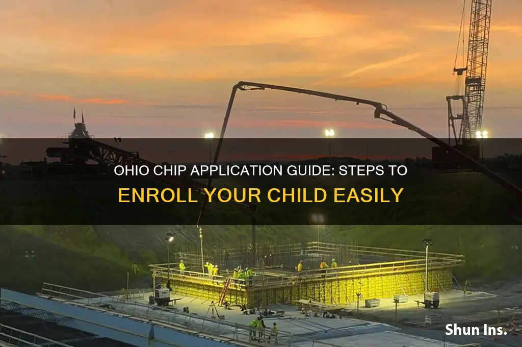 Ohio Chip Application Guide: Steps To Enroll Your Child Easily | ShunIns