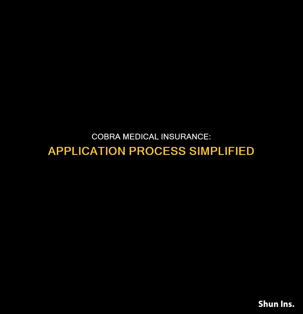 Cobra Medical Insurance: Application Process Simplified | ShunIns