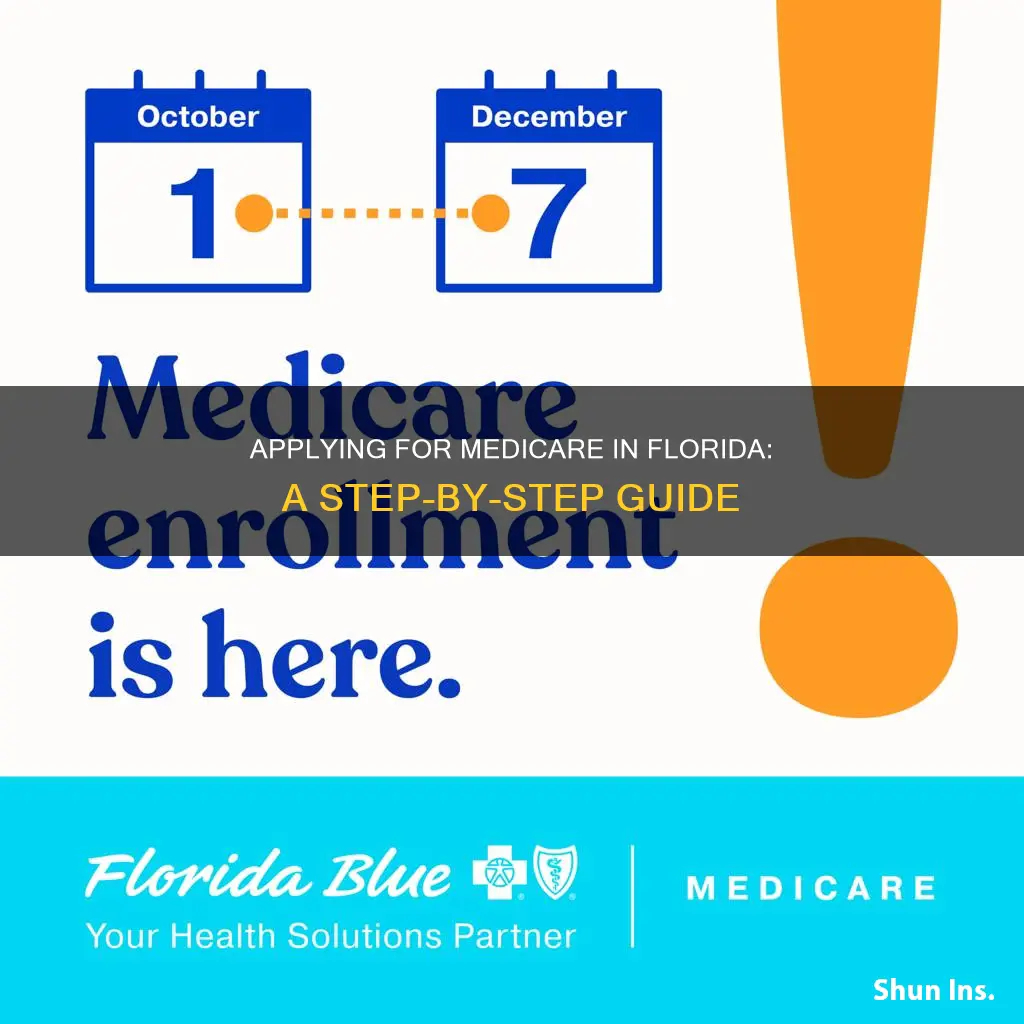 Applying For Medicare In Florida: A Step-By-Step Guide | ShunIns
