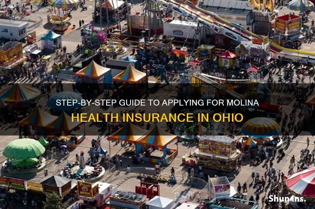 Step-By-Step Guide To Applying For Molina Health Insurance In Ohio ...