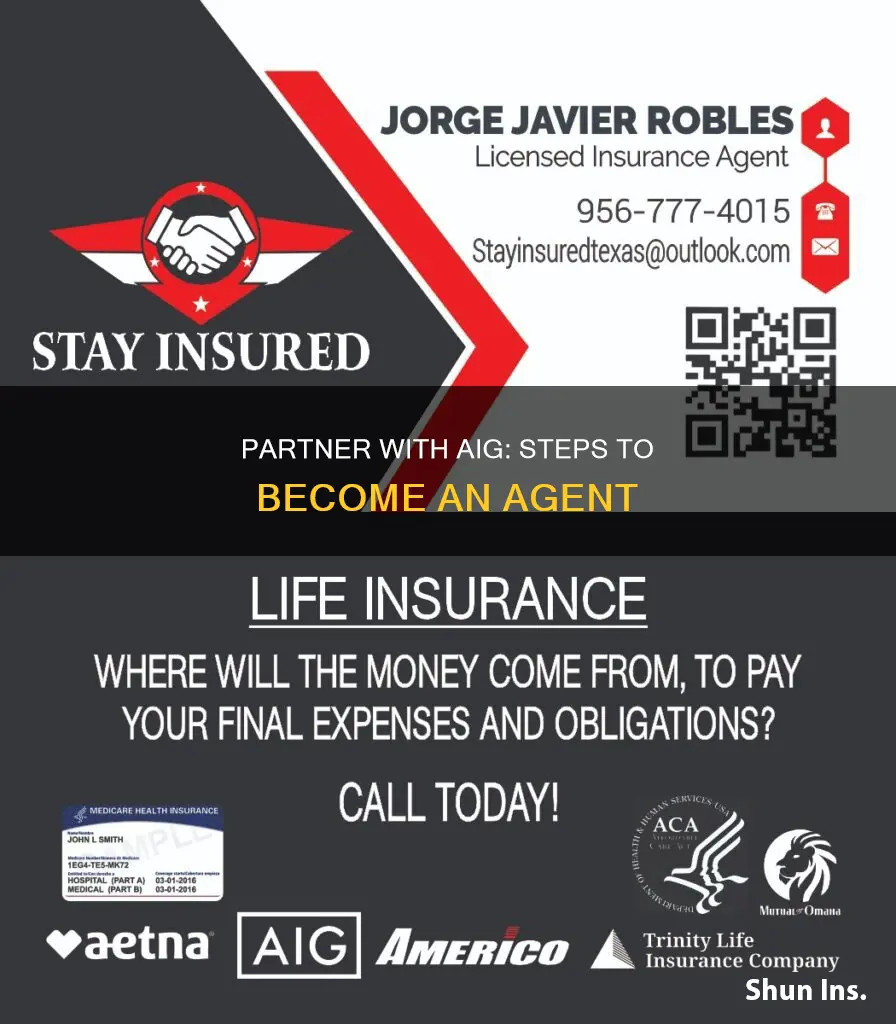 Partner With Aig: Steps To Become An Agent | ShunIns
