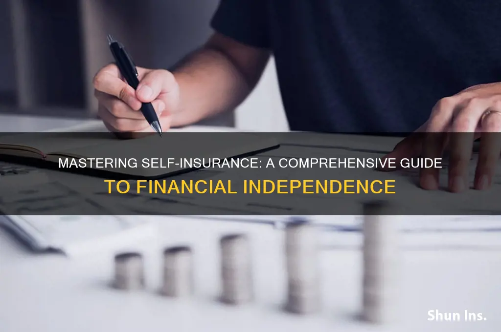 Mastering Self-Insurance: A Comprehensive Guide To Financial ...