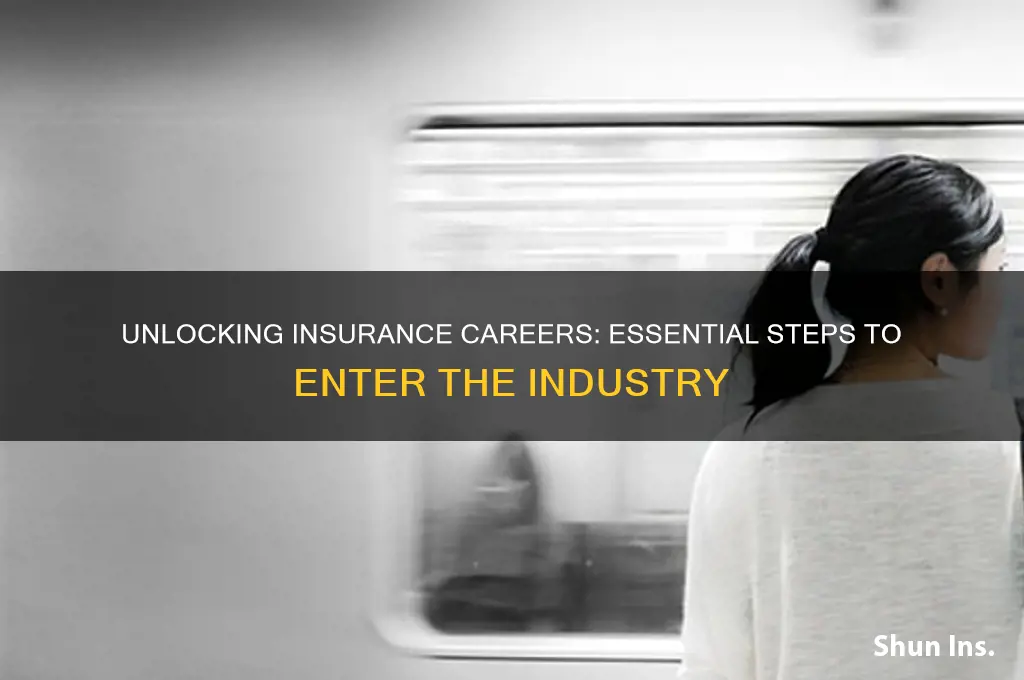 Unlocking Insurance Careers: Essential Steps To Enter The Industry ...