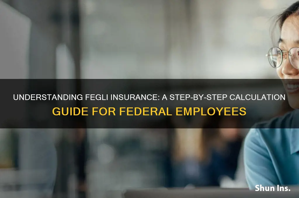 Understanding Fegli Insurance: A Step-By-Step Calculation Guide For ...