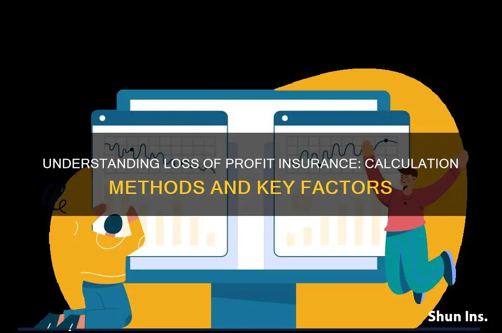 Understanding Loss Of Profit Insurance: Calculation Methods And Key ...