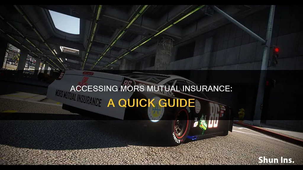 Accessing Mors Mutual Insurance: A Quick Guide | ShunIns