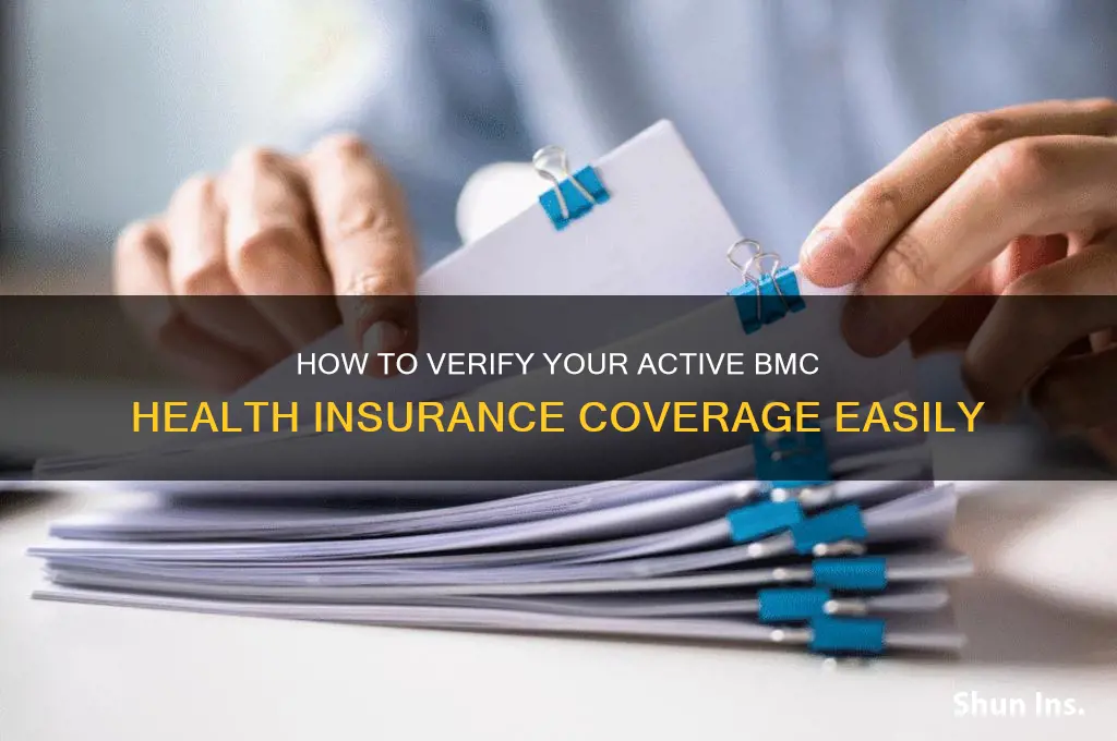 How To Verify Your Active Bmc Health Insurance Coverage Easily | ShunIns
