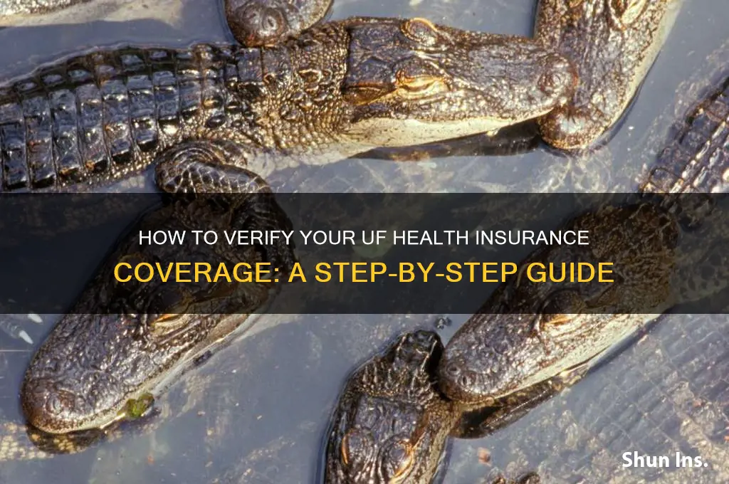 How To Verify Your Uf Health Insurance Coverage: A Step-By-Step Guide ...