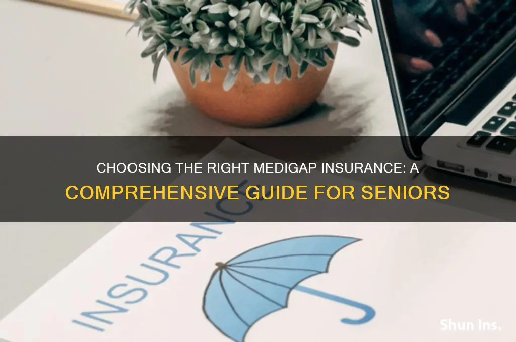 Choosing The Right Medigap Insurance: A Comprehensive Guide For Seniors ...