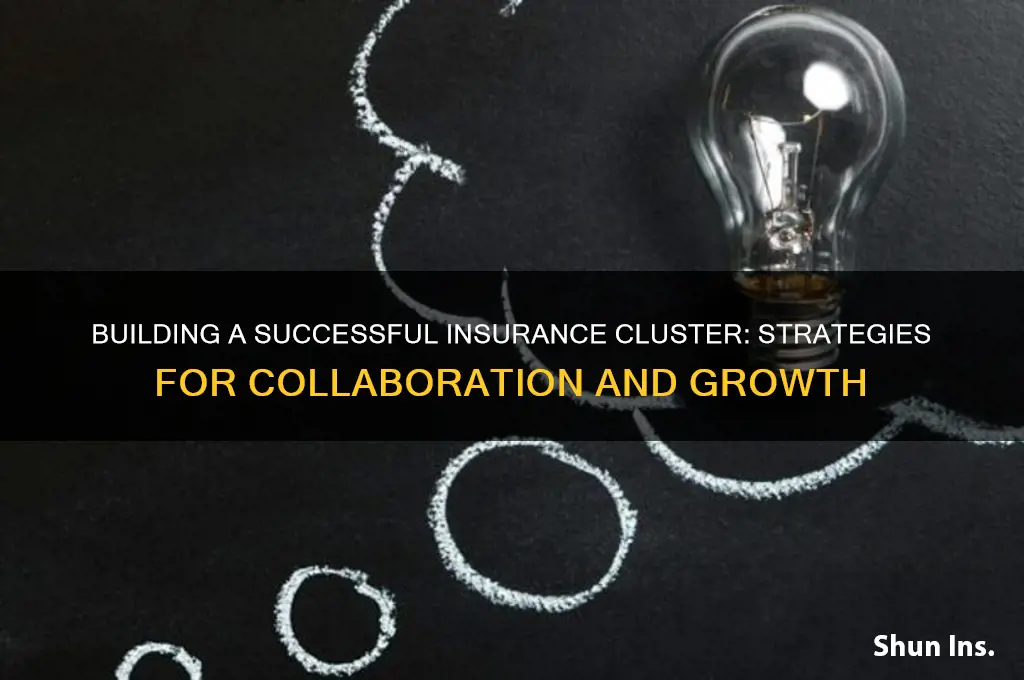 Building A Successful Insurance Cluster: Strategies For Collaboration ...