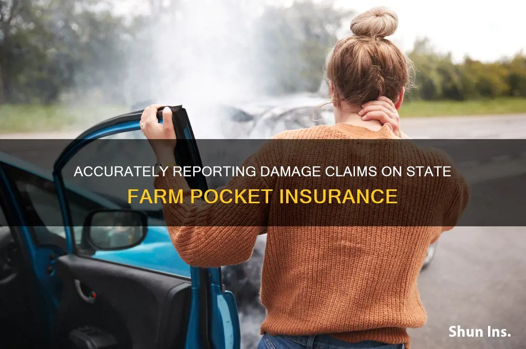 Accurately Reporting Damage Claims On State Farm Pocket Insurance | ShunIns