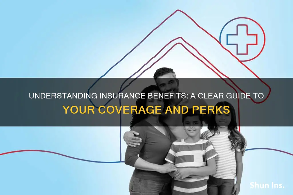 Understanding Insurance Benefits: A Clear Guide To Your Coverage And ...