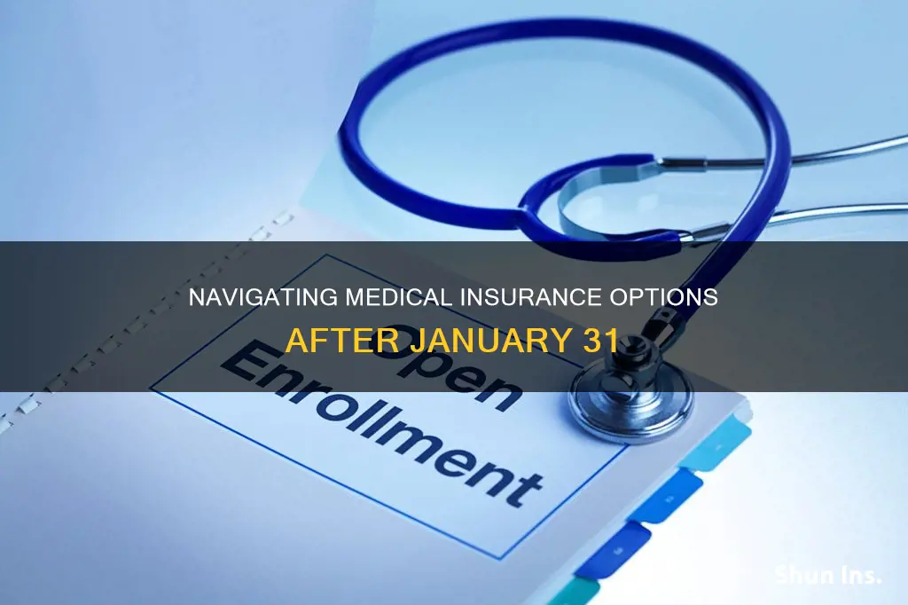 Navigating Medical Insurance Options After January 31 | ShunIns