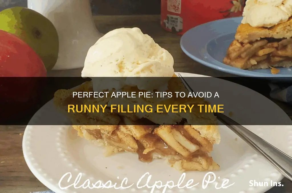 Perfect Apple Pie: Tips To Avoid A Runny Filling Every Time | ShunIns